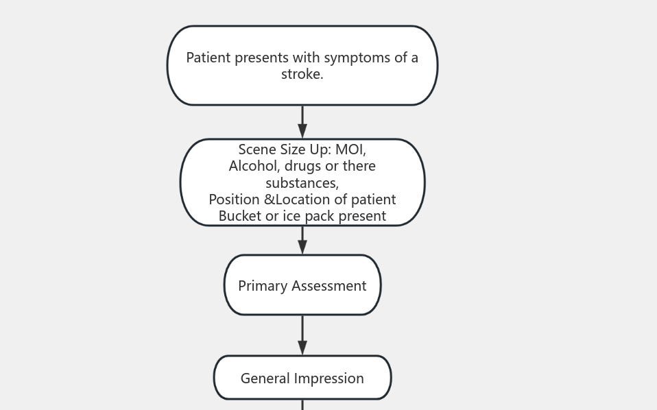 Stroke Protocol 流程图模板_ProcessOn思维导图、流程图