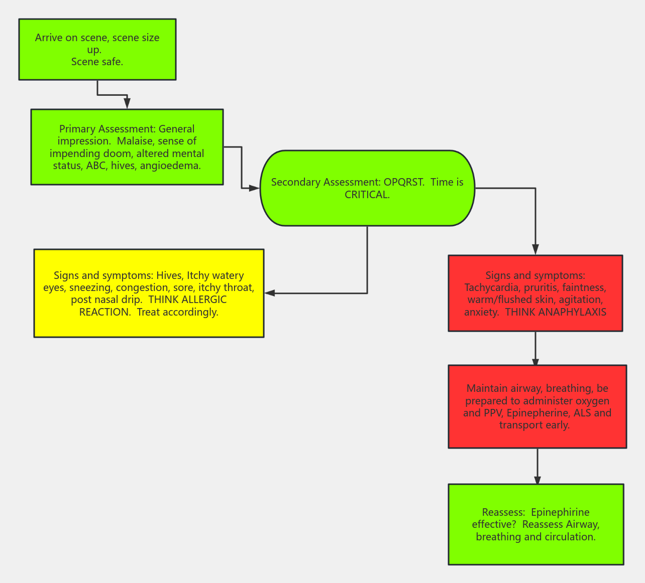 Allergic Reaction Protocol 流程图模板_ProcessOn思维导图、流程图