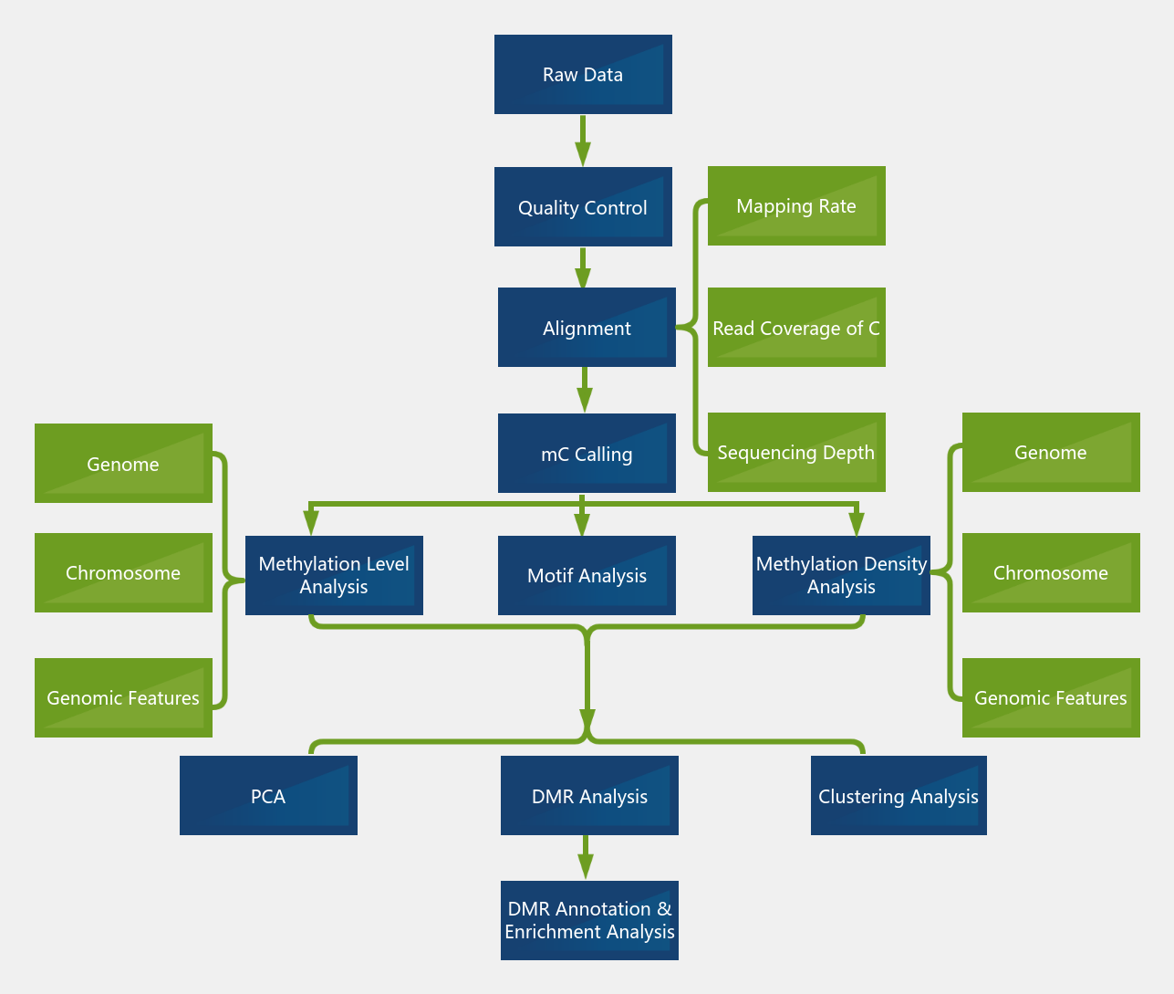 WGBS Analysis Pipeline-liwankelan- ivy 流程图模板_ProcessOn思维导图、流程图