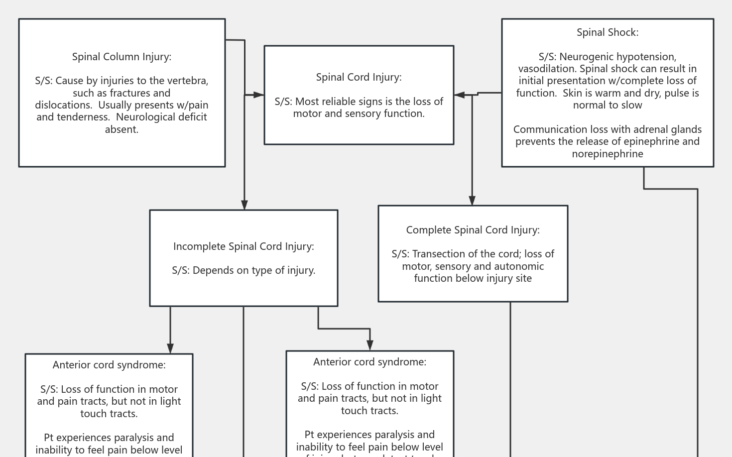 Spinal Immobilization Protocol 流程图模板_ProcessOn思维导图、流程图