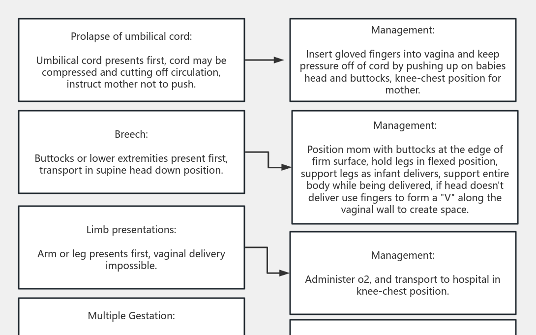 OB/GYN Protocol 2 流程图模板_ProcessOn思维导图、流程图