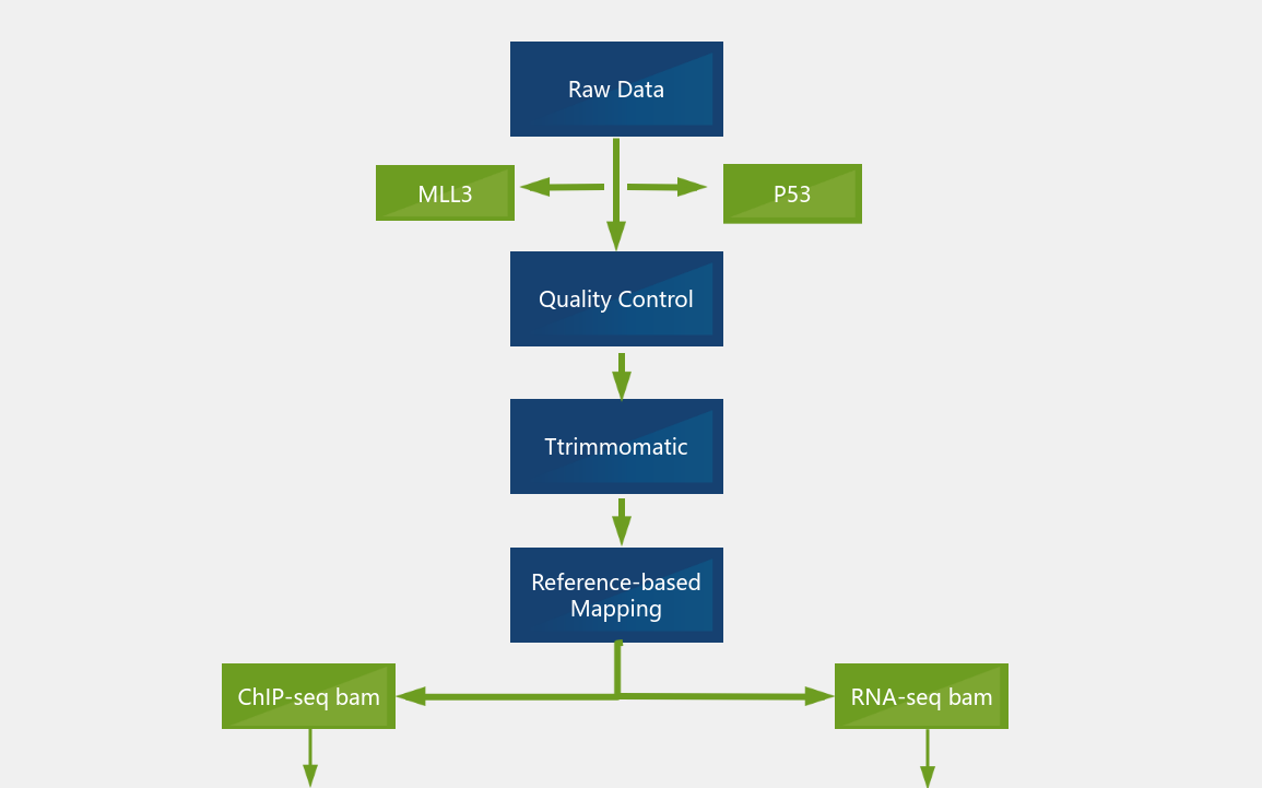 sRNA Analysis Pipeline-liwankelan 12.22 流程图模板_ProcessOn思维导图、流程图
